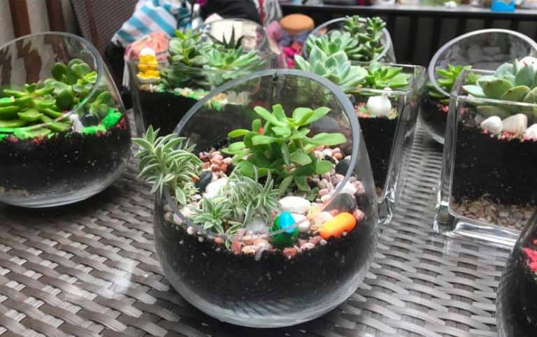 10 Fun Terrarium Team Building Workshop In Singapore