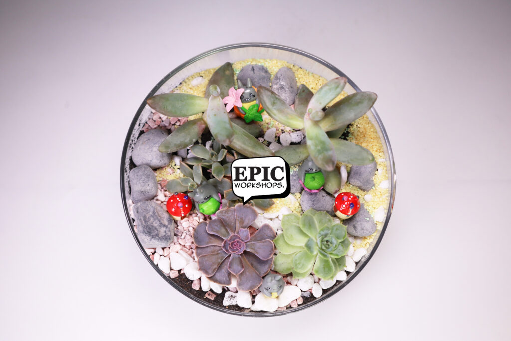 #1 Best Succulent Terrarium Workshop In Singapore | Craft Labs